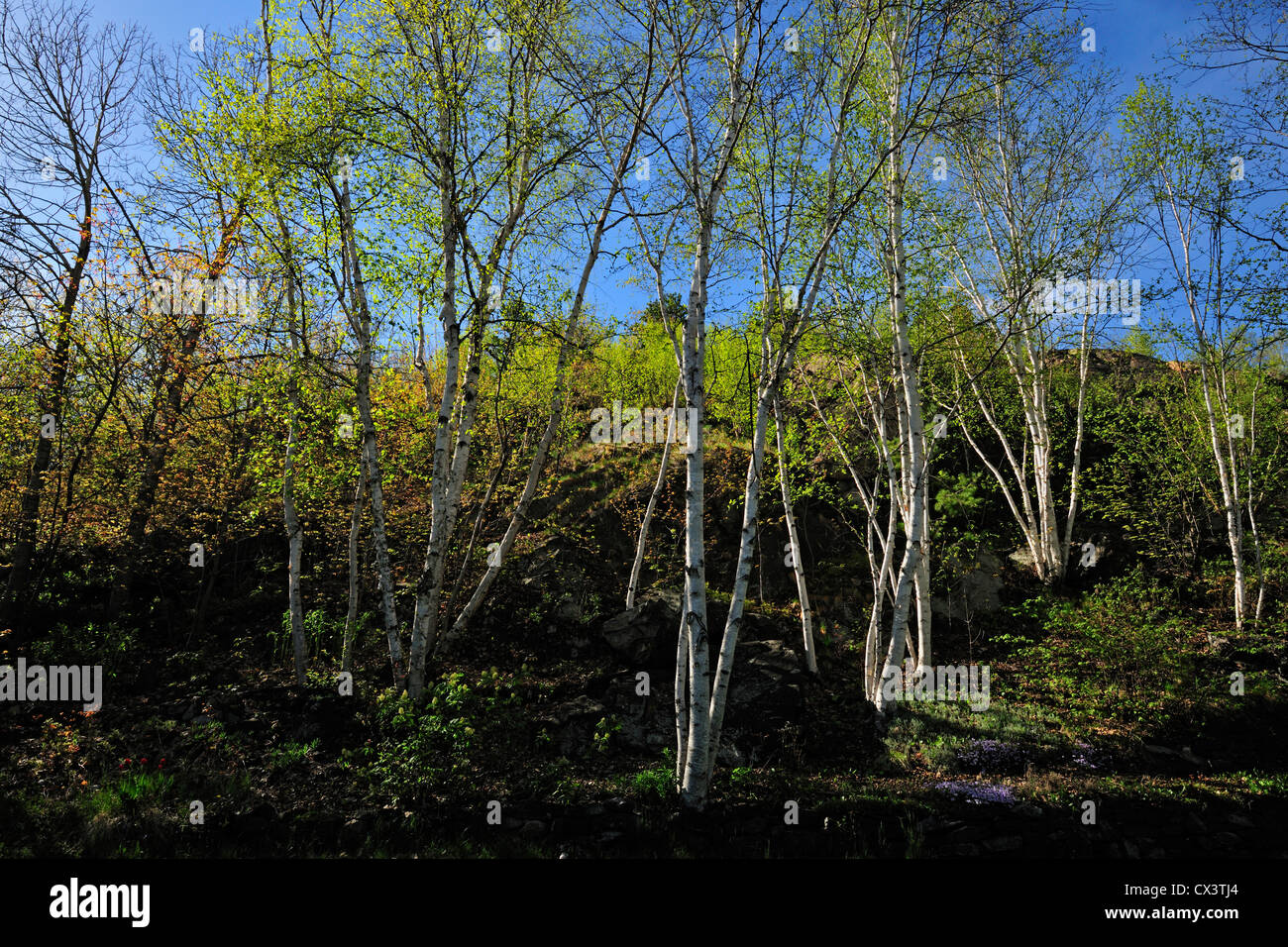 Properties of rocks hi-res stock photography and images - Alamy