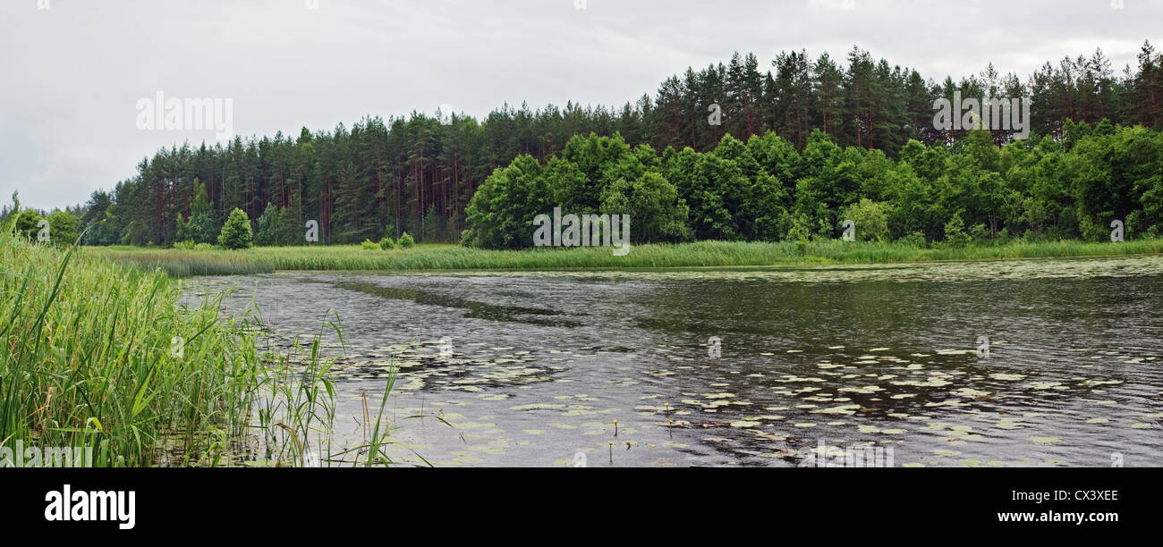 Dark rain cloud over pond hi-res stock photography and images - Alamy