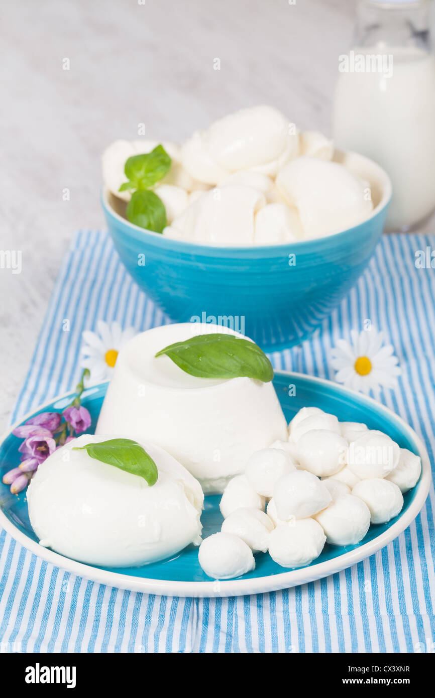 Dish of typical italian mozzarella cheese made of fresh milk Stock ...