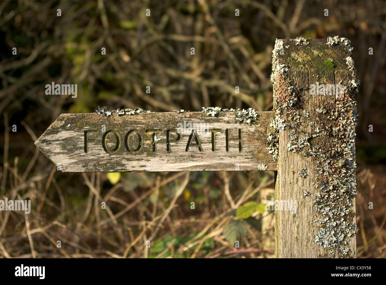 A wooden signpost covered with moss showing the direction of a footpath ...