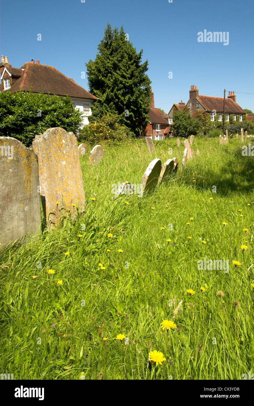 Part of the churchyard of St John the Baptist Church, Westbourne, West ...