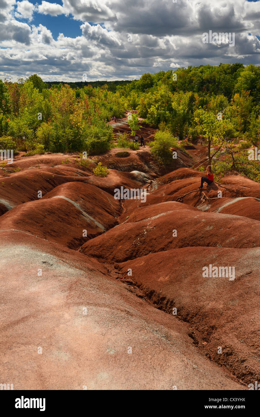 Eroding red and green shale clay soil at Cheltenham Badlands in summer ...