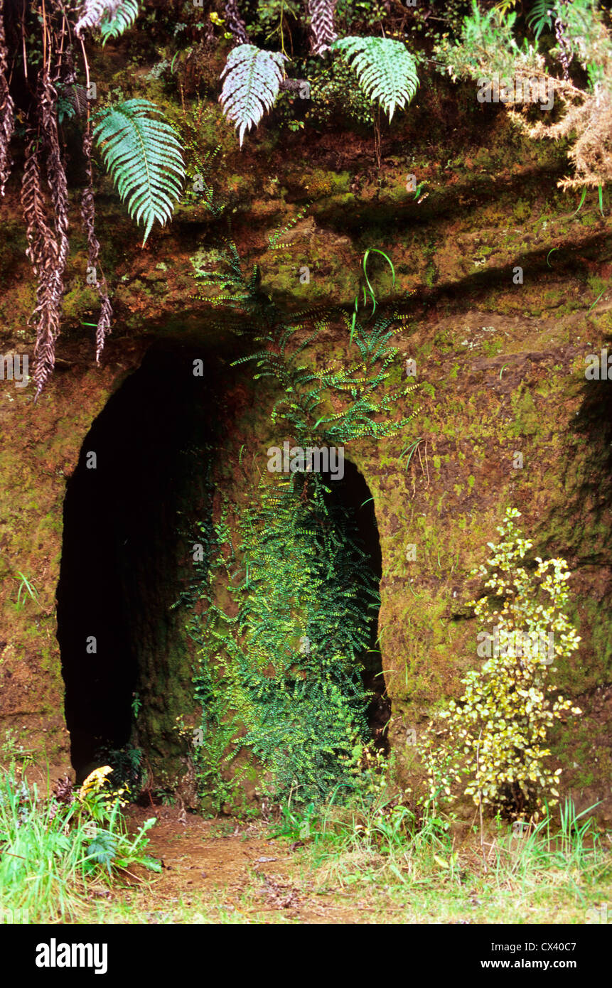 Mitchells island hi-res stock photography and images - Alamy