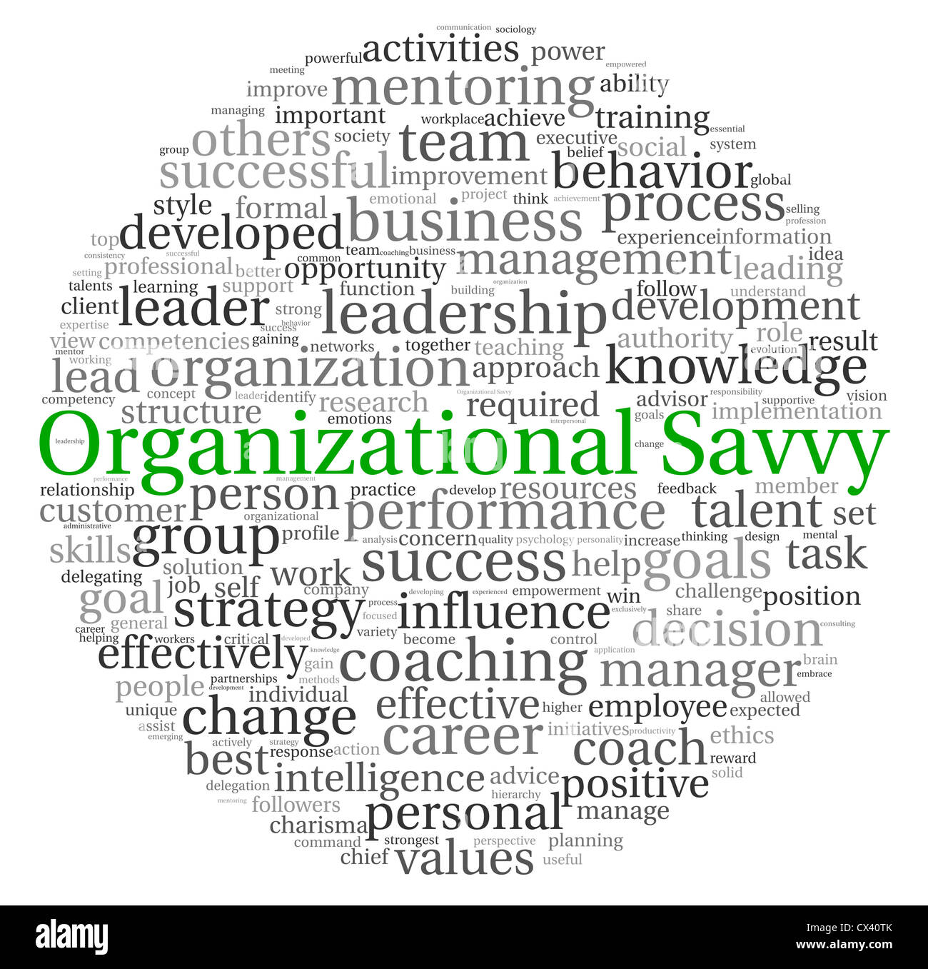 Organizational Savvy concept in word tag cloud on white background ...