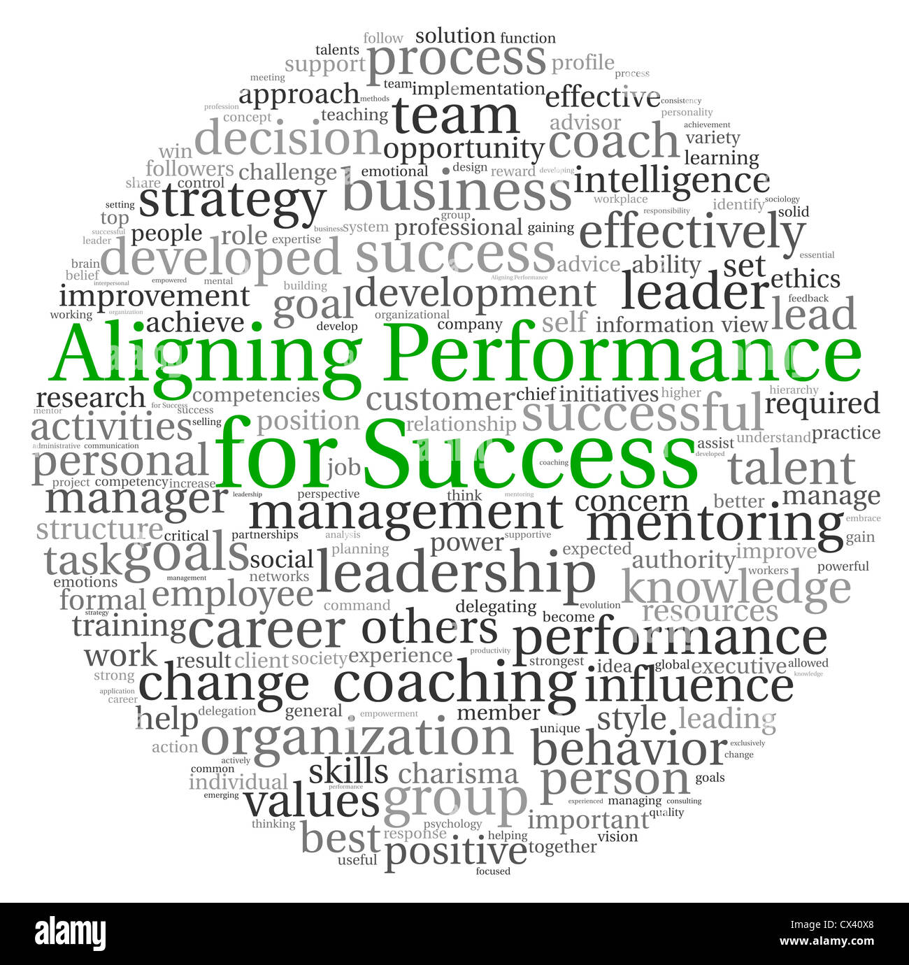 Aligning Performance for Success concept in word tag cloud on white ...