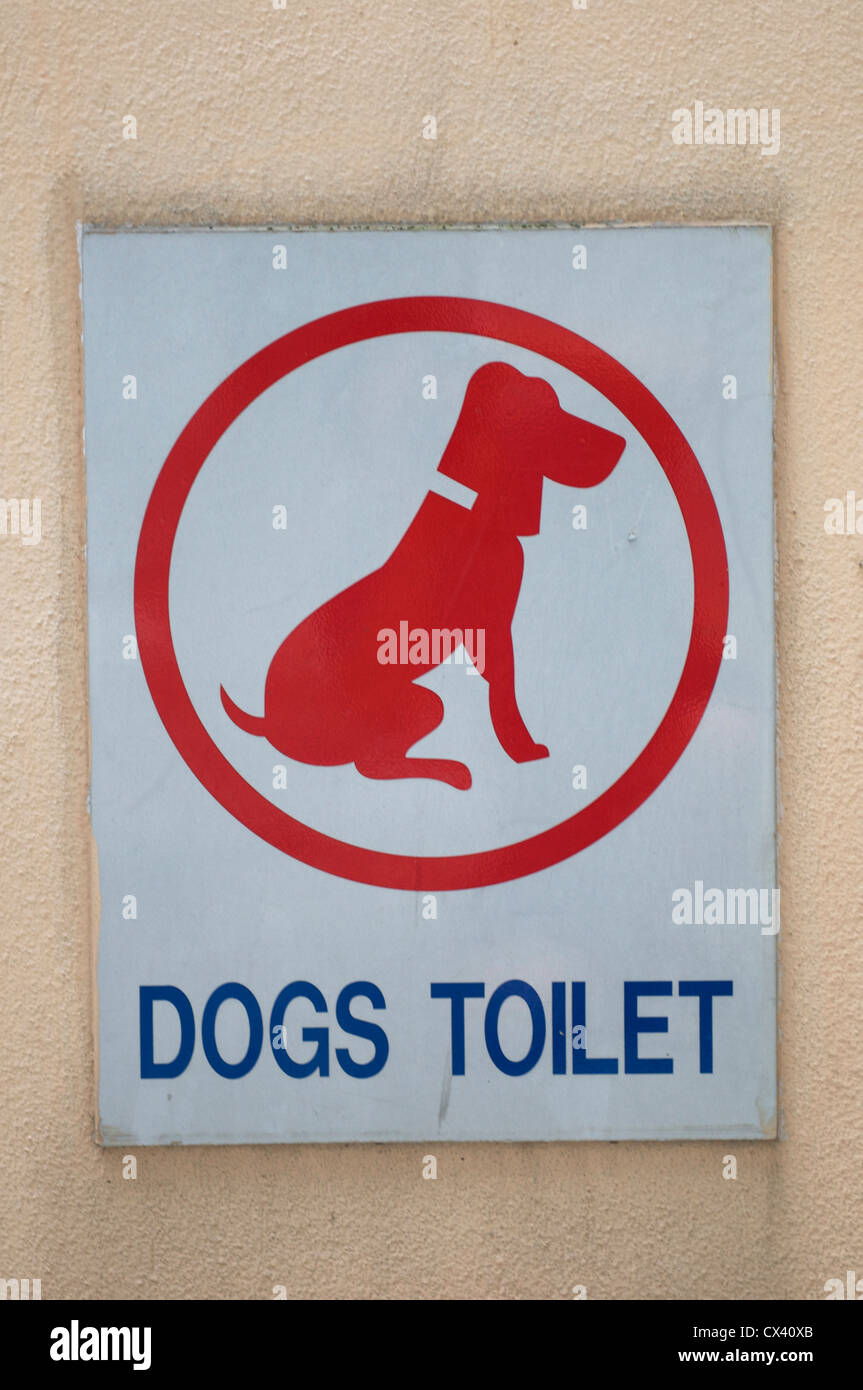 Dog toilet hi-res stock photography and images - Alamy
