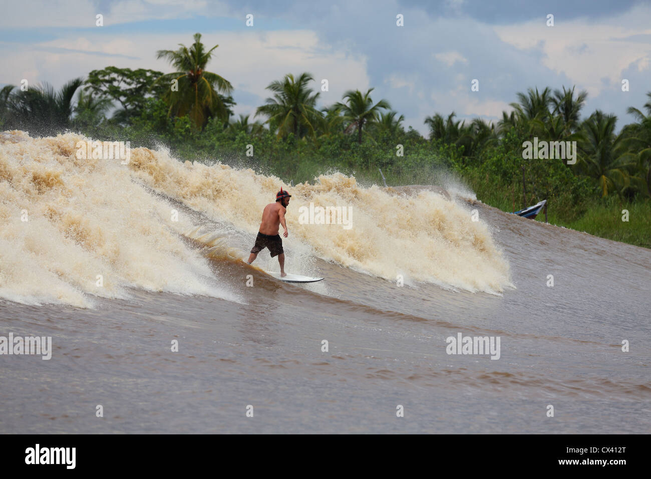 Surfing a tidal river bore wave on the Kampar River also known as the ...