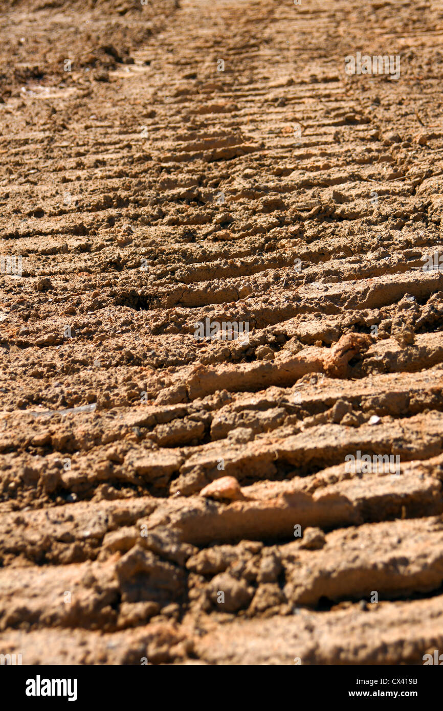 Tread marks from a tractor dry in the sun at a muddy construction site ...