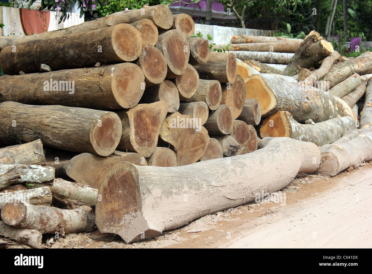 Lumber being piled out a saw mill in India Stock Photo - Alamy