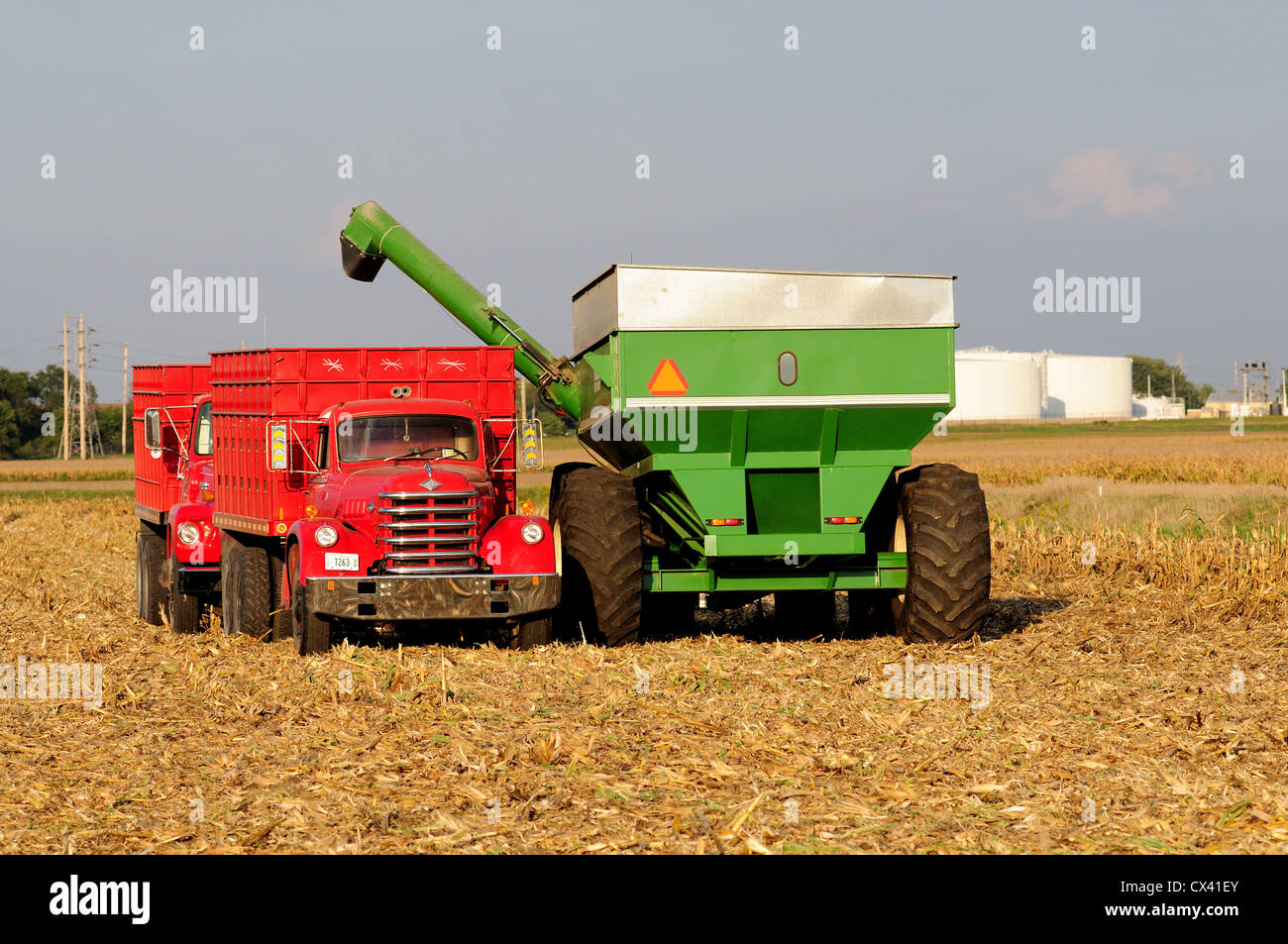 Harvesting corn with a John Deere combine and tractor hauling grain ...
