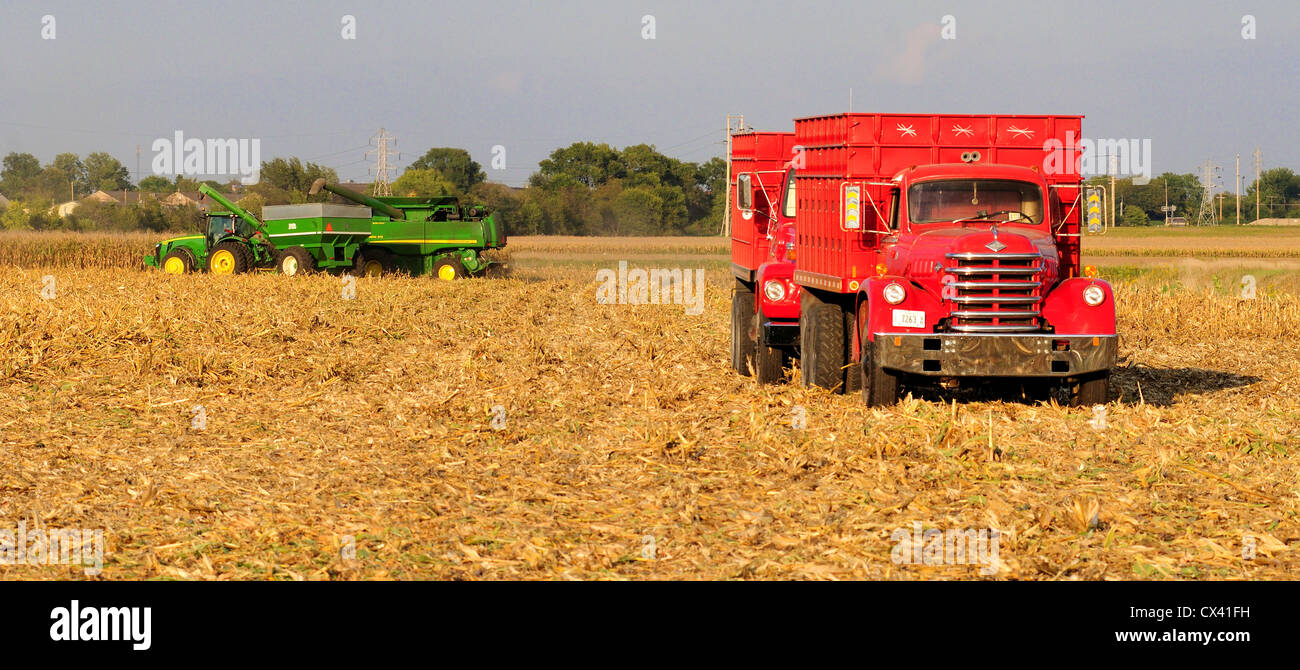 Harvesting corn with a John Deere combine and tractor hauling grain ...