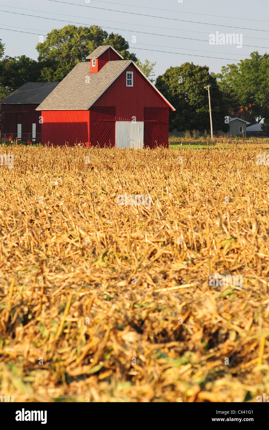 Red barn with corn hi-res stock photography and images - Alamy