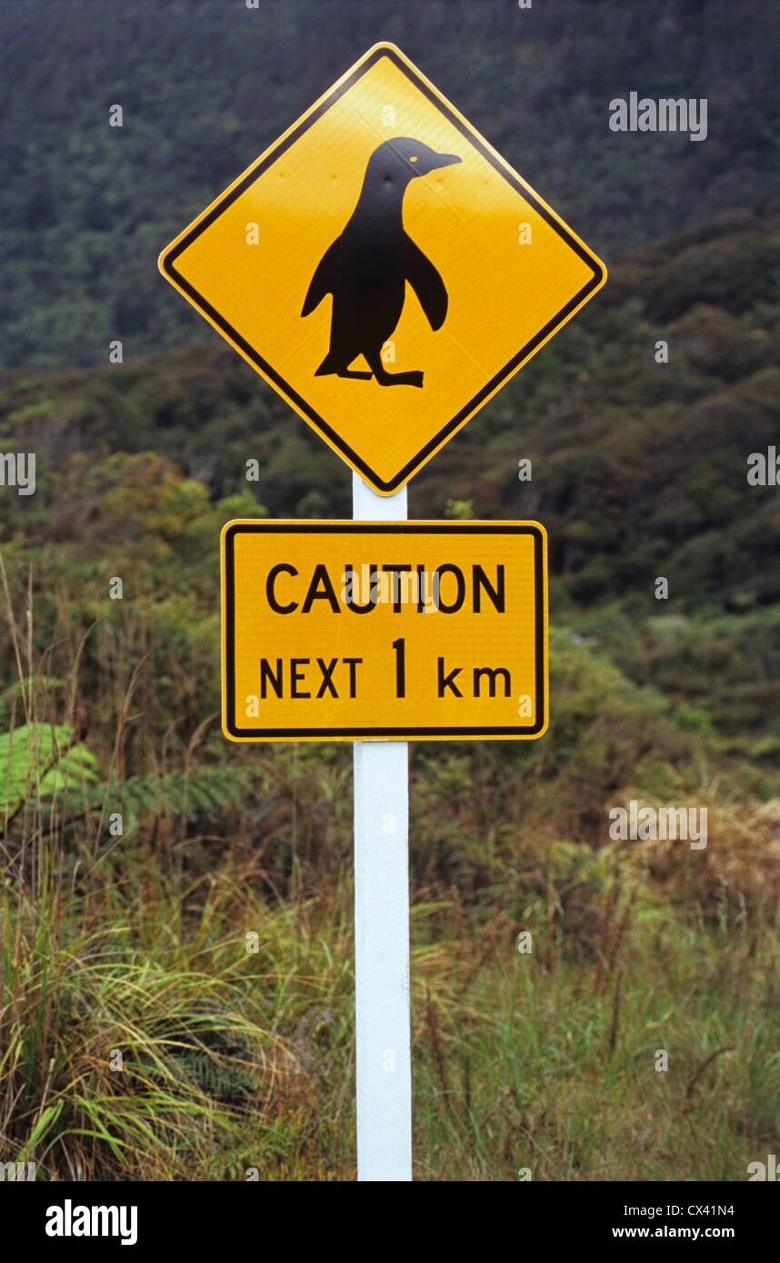 Penguin warning sign new zealand hi-res stock photography and images ...