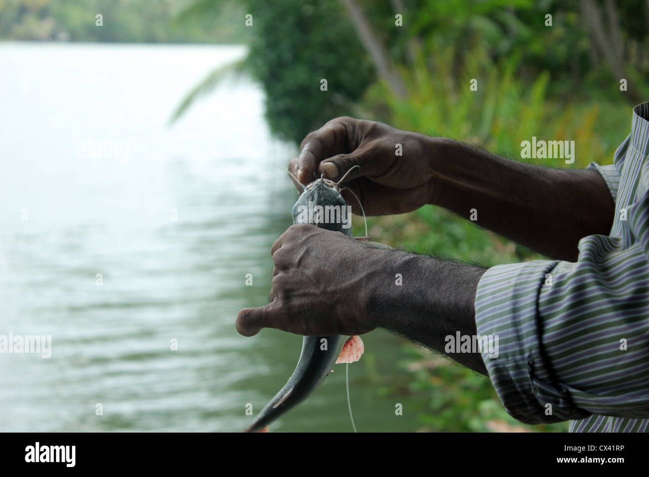 Ashtamudi lake ashtamudi kayal in the kollam district of kerala hi-res ...