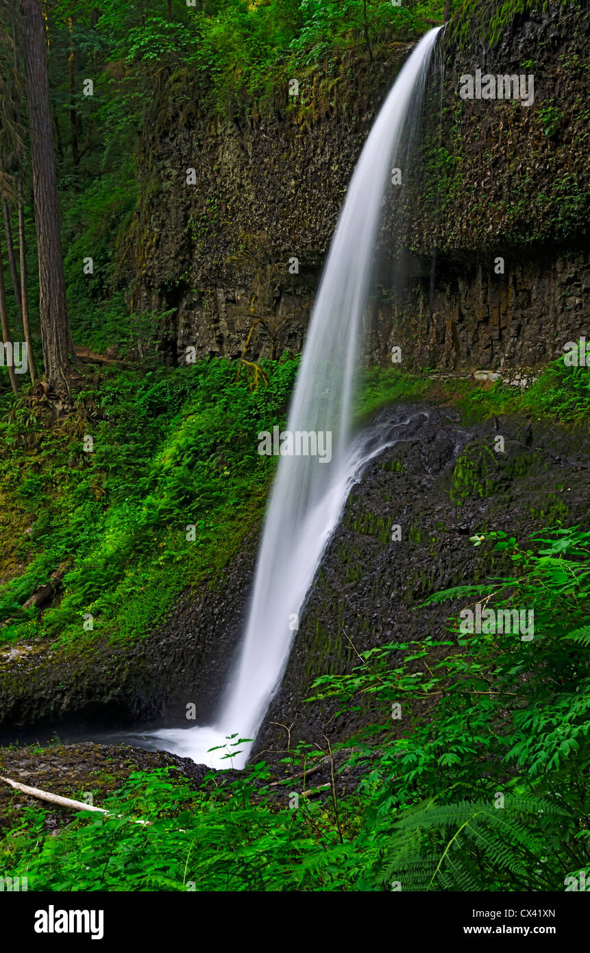 Middle North Falls in the Cascade Mountains, Oregon Stock Photo - Alamy
