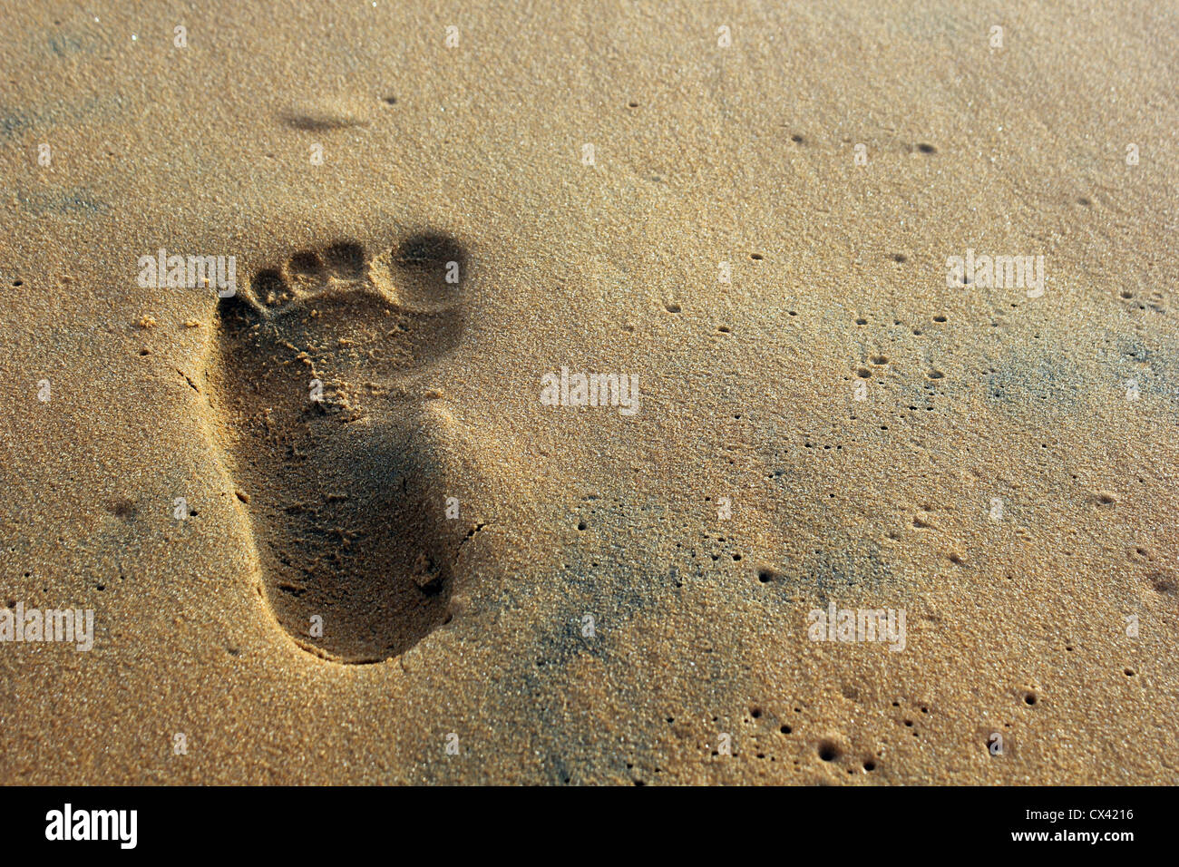 The impression of a single feet on beach Stock Photo - Alamy