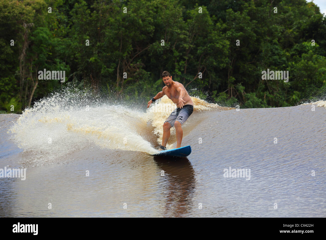 Big man surfing a tidal river bore wave on the Kampar River also known ...