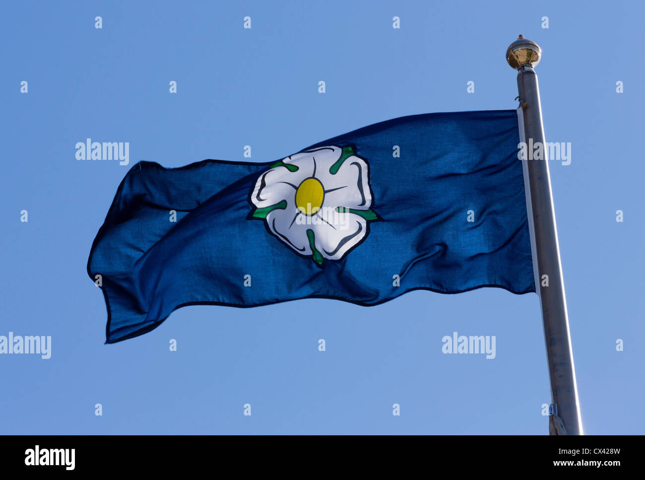 The Yorkshire flag, a white rose on a dark blue background Stock Photo ...