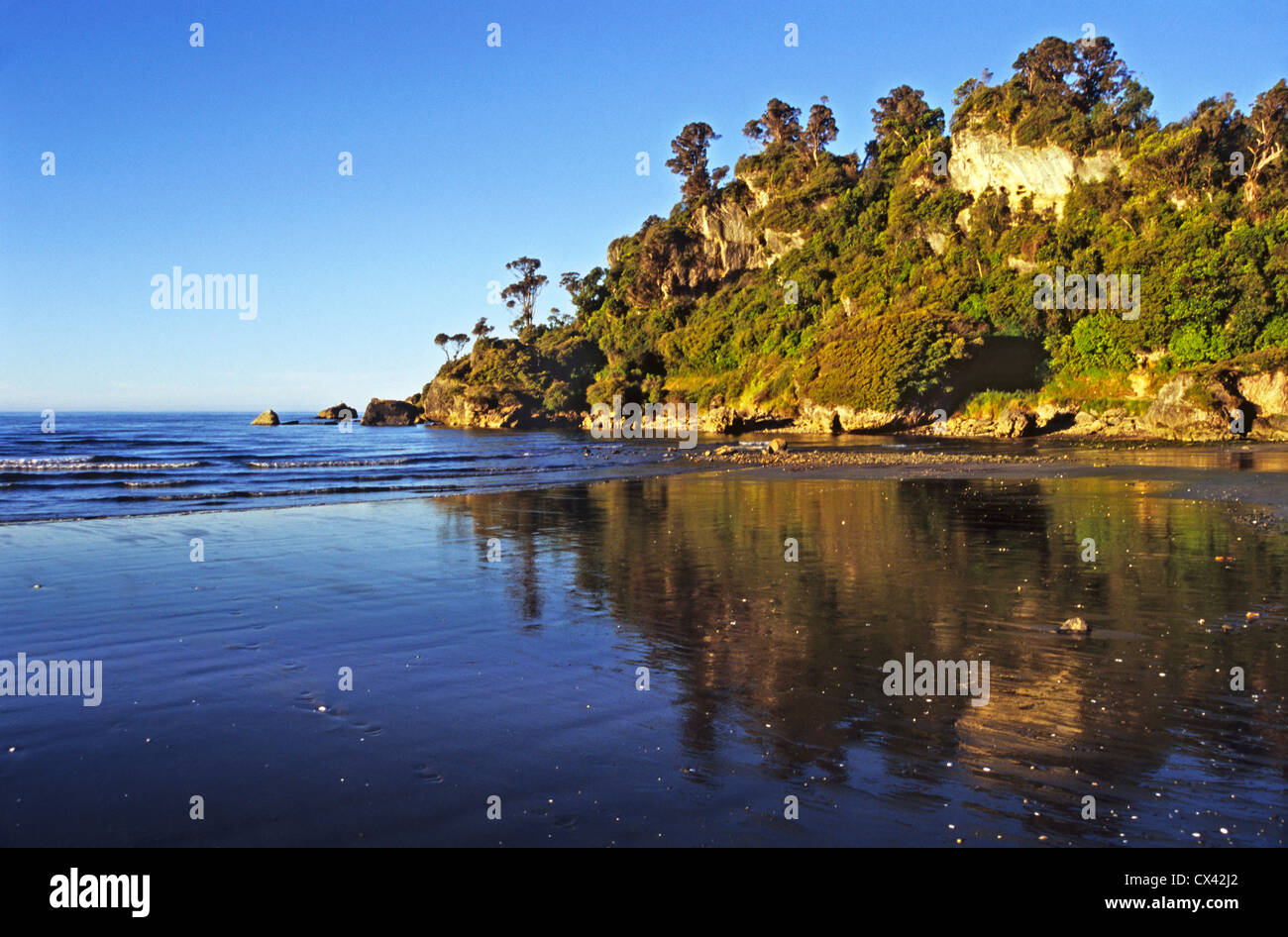 Pohara Beach, South Island, New Zealand Stock Photo - Alamy