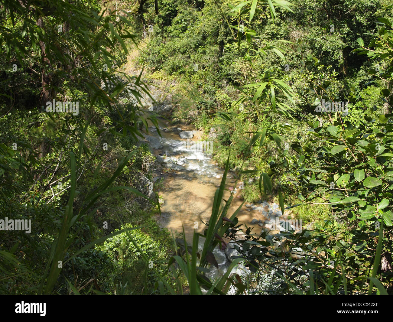 A small stream Stock Photo - Alamy