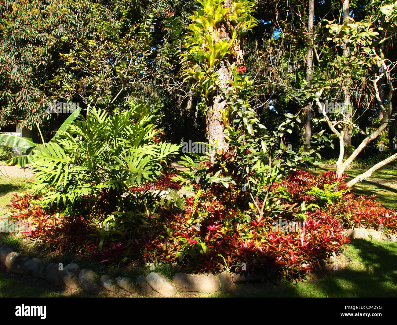 A colorful park Stock Photo - Alamy