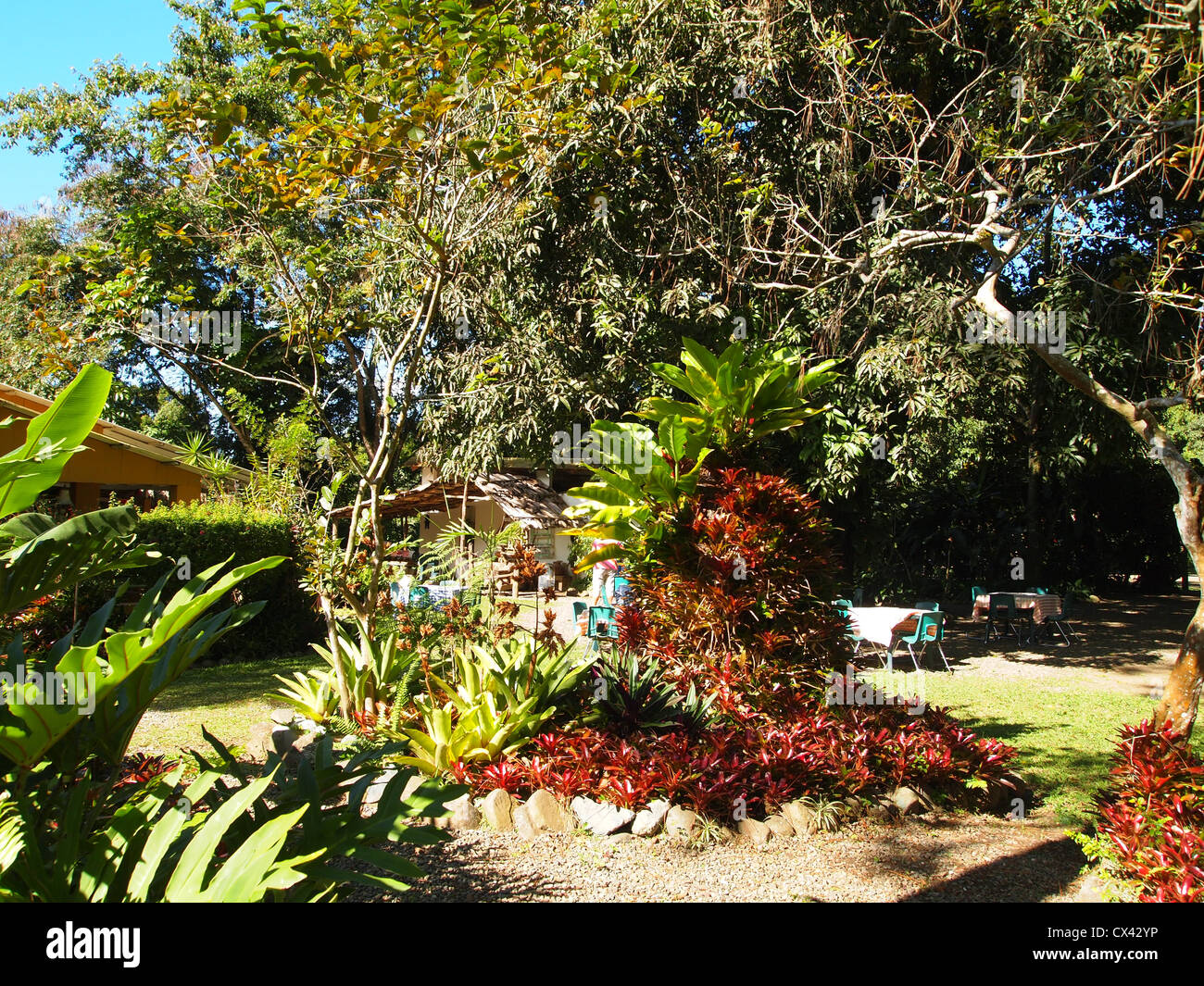 A colorful park Stock Photo - Alamy