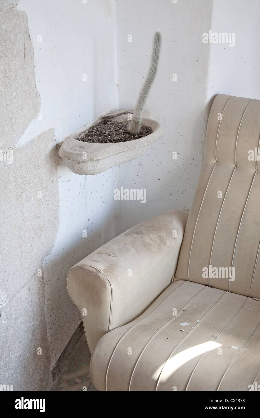 Dust armchair and cactus Stock Photo - Alamy