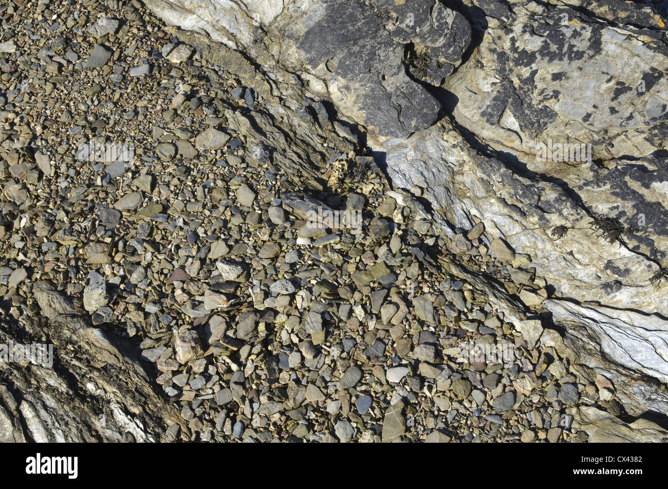 Metaphor falling on stony ground hi-res stock photography and images ...