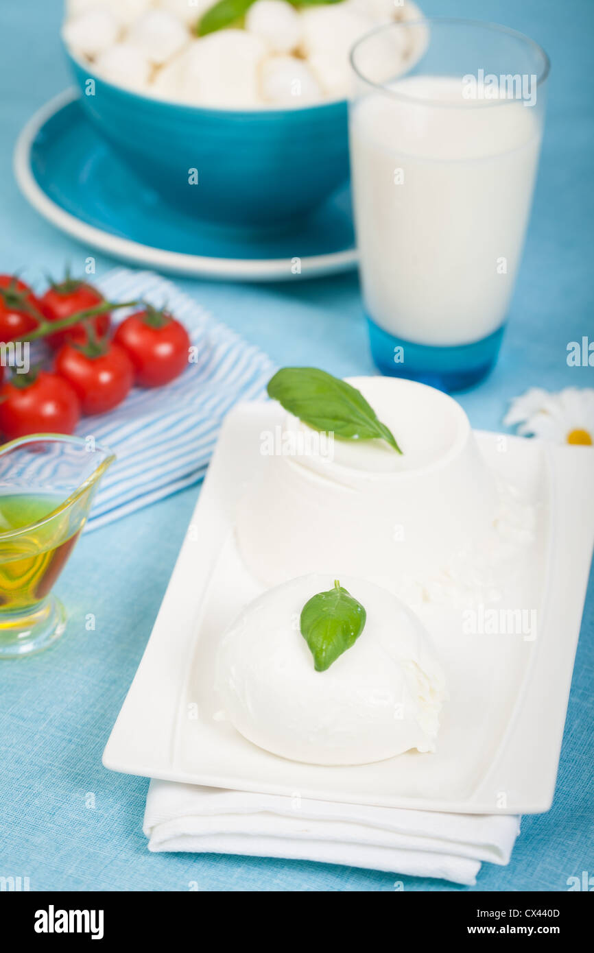 Fresh italian dairy products as mozzarella, ricotta and cherry tomatoes ...