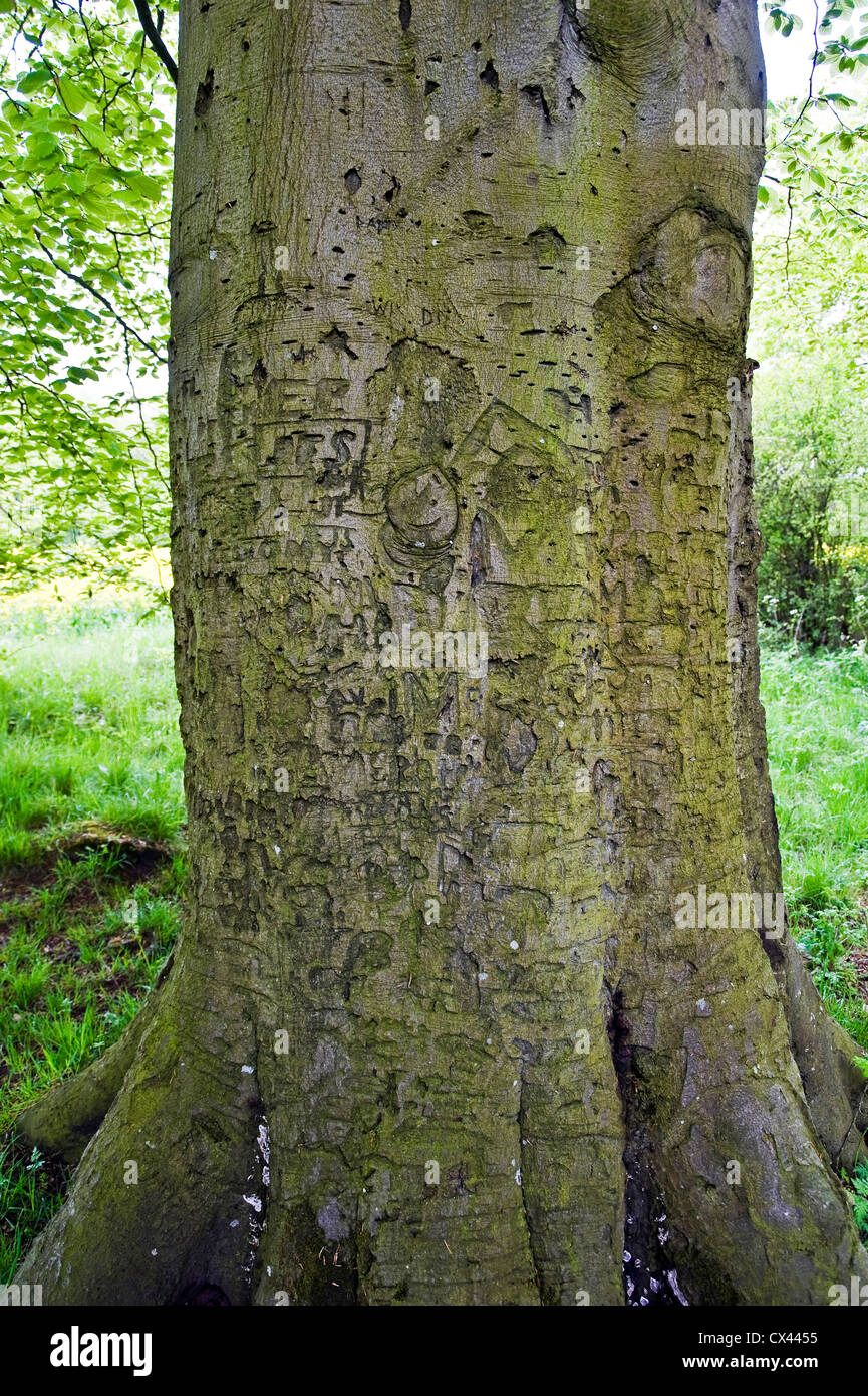 Marked tree at Wayland's Smithy, The Ridgeway, Oxfordshire, UK Stock ...