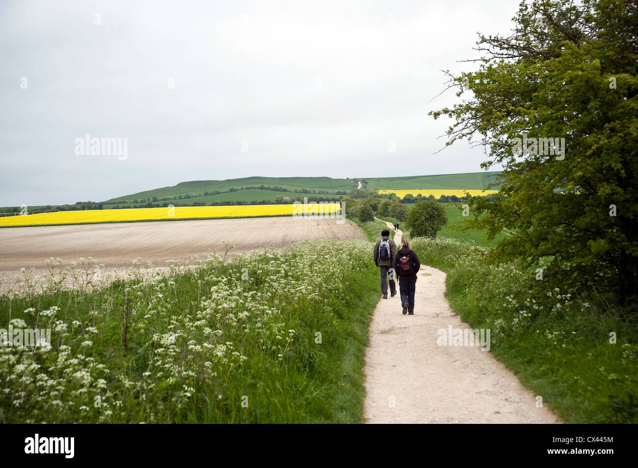 Walkers on The Ridgeway Long Distance Path near Uffington Castle ...