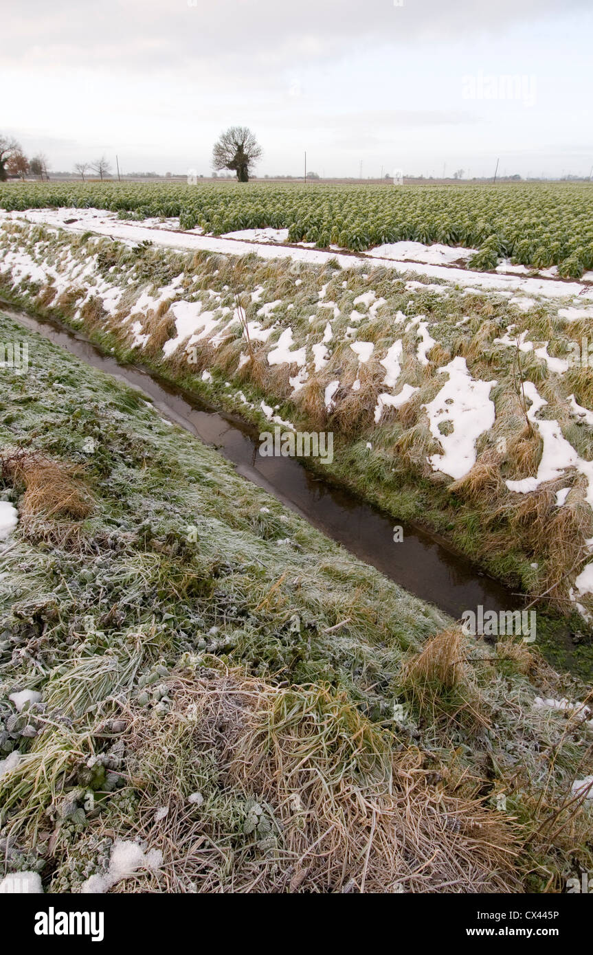 Drainage dyke hi-res stock photography and images - Alamy