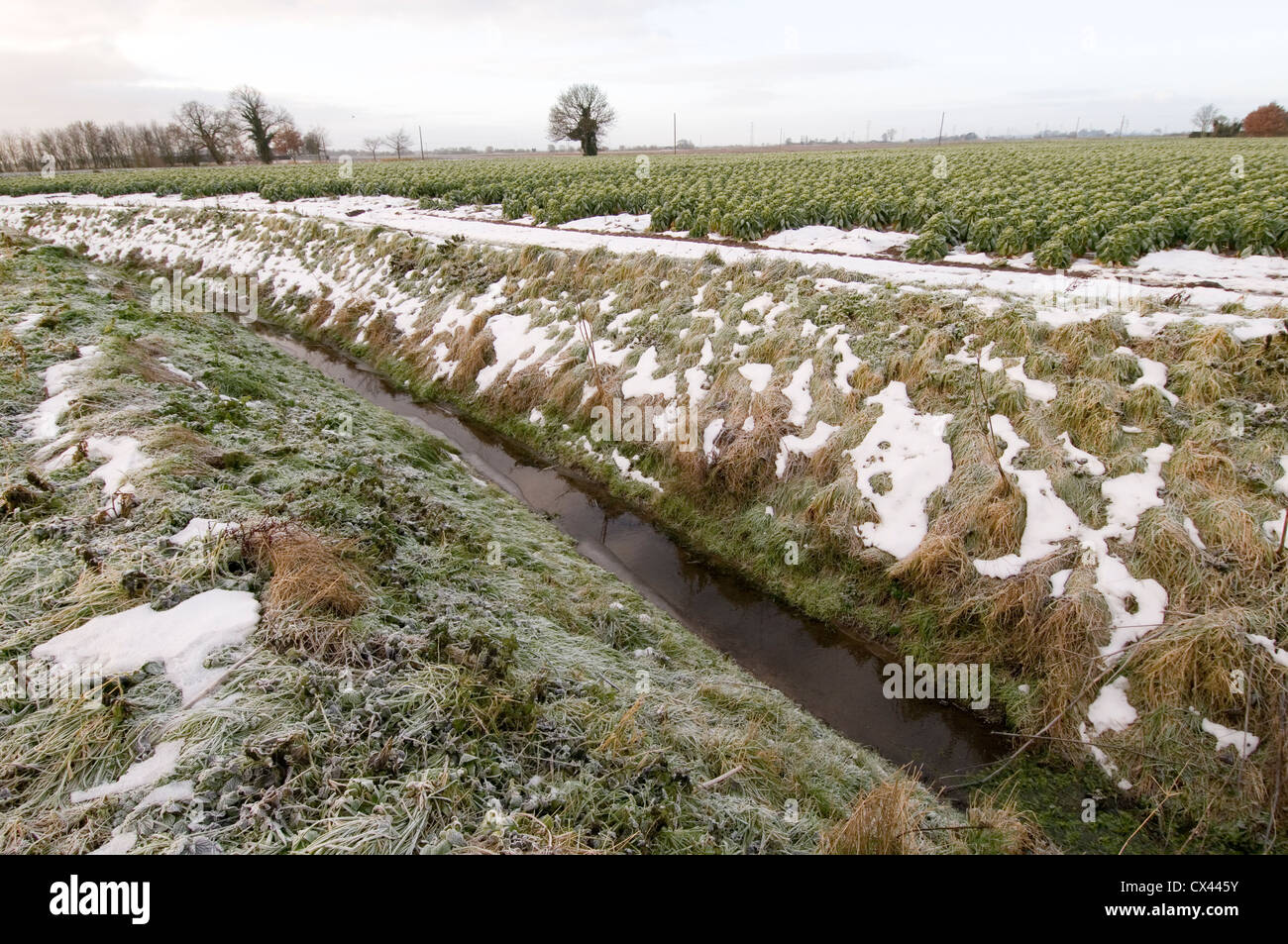 drainage dyke ditch dykes ditches field fields water logged flooding ...