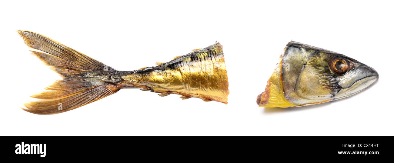 smoked fish tail and head isolated on white Stock Photo - Alamy