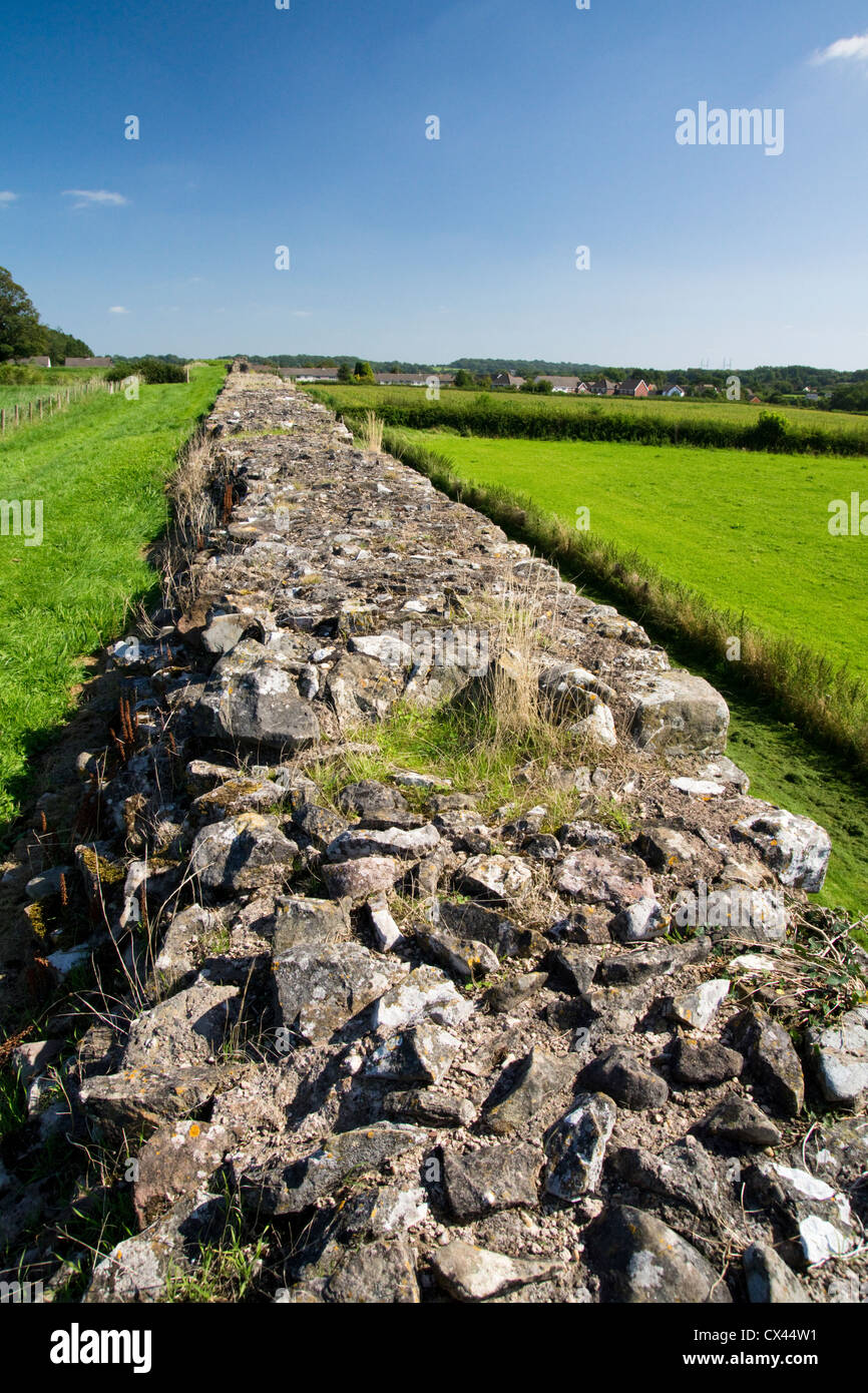 Roman Ruins Uk High Resolution Stock Photography and Images - Alamy
