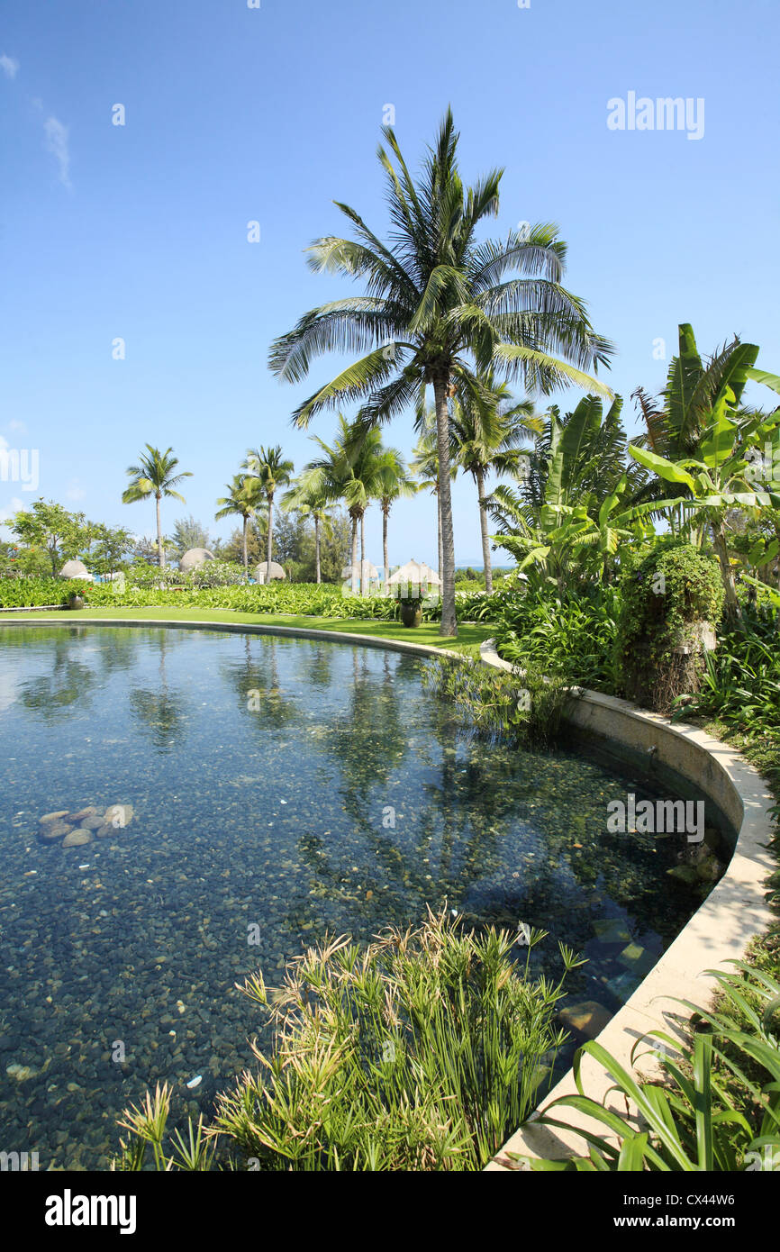 Tree pool water hi-res stock photography and images - Alamy