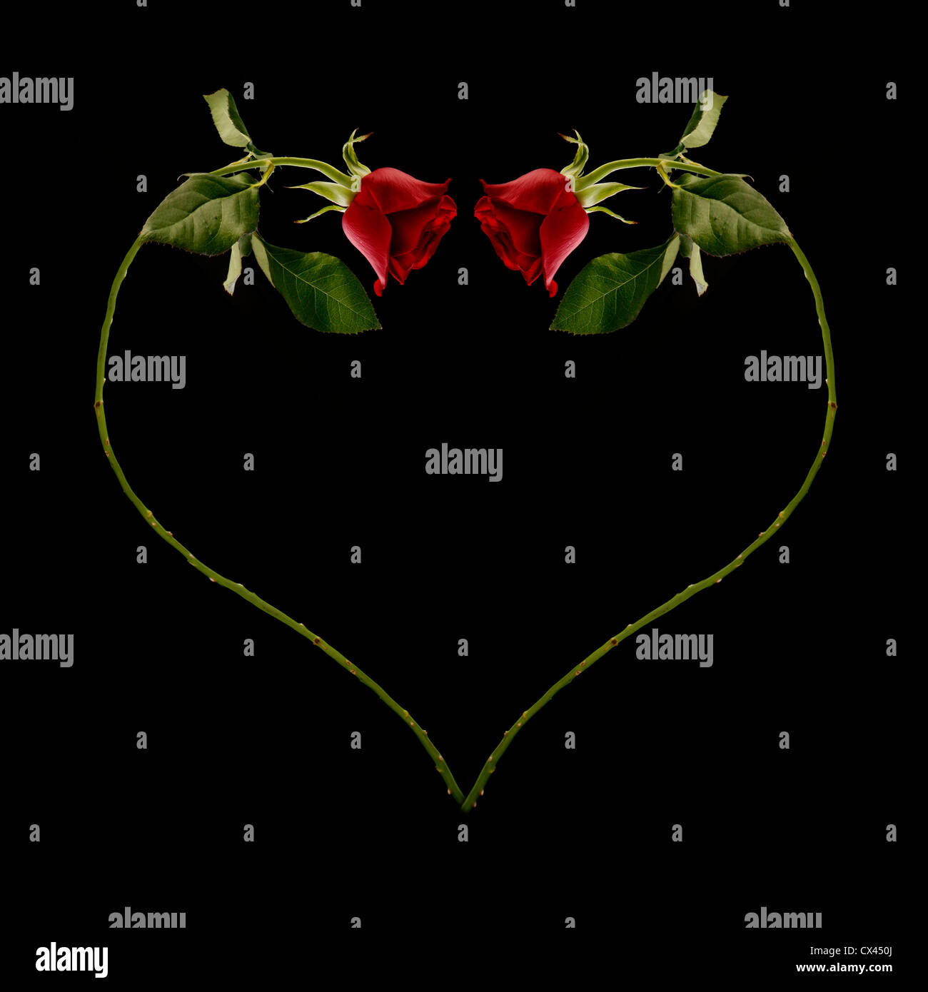 Red roses form the shape of a love heart Stock Photo - Alamy