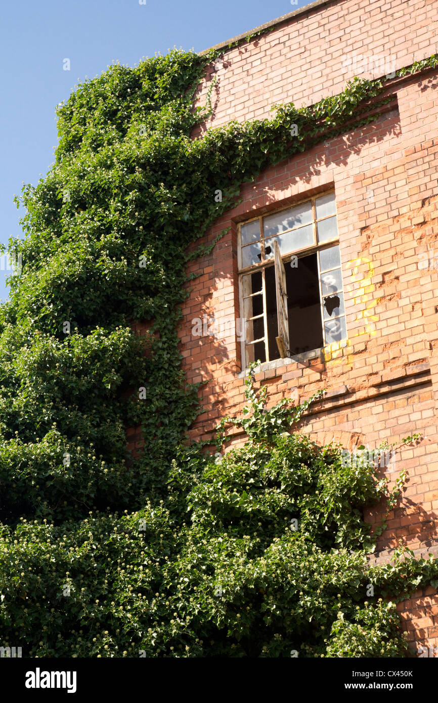 Overgrown abandoned warehouse with broken windows Stock Photo - Alamy