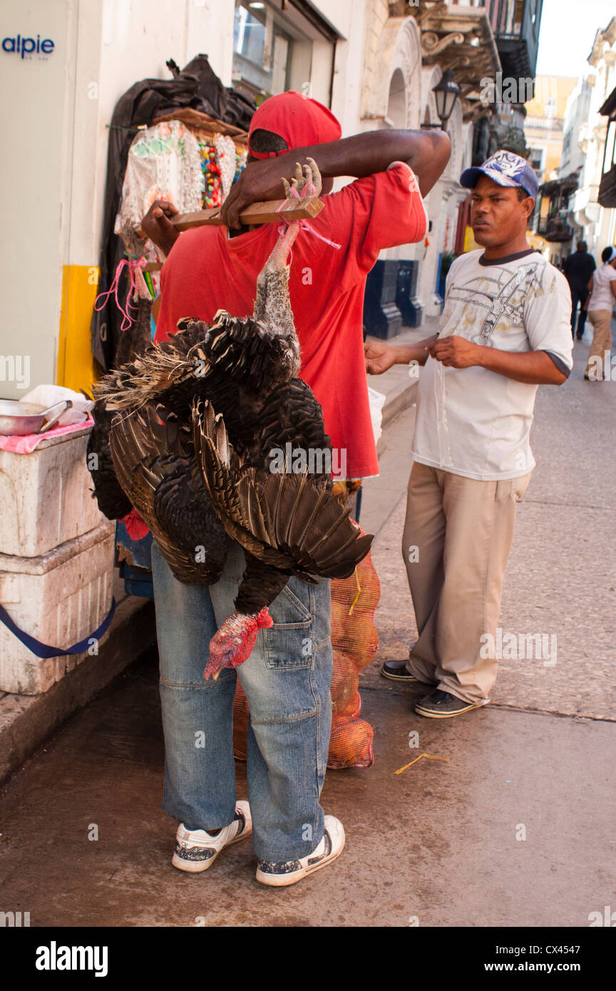 Man with a rooster hi-res stock photography and images - Alamy