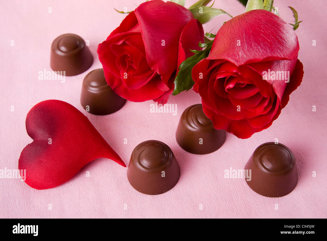 Two beautiful red roses with chocolates on a pink background Stock ...