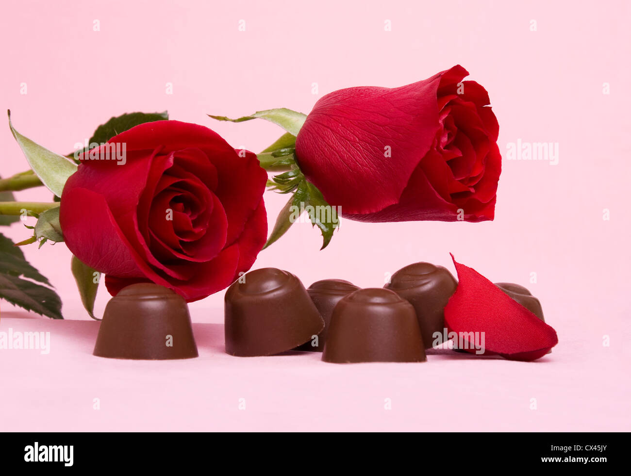 Two beautiful red roses with chocolates on a pink background Stock ...