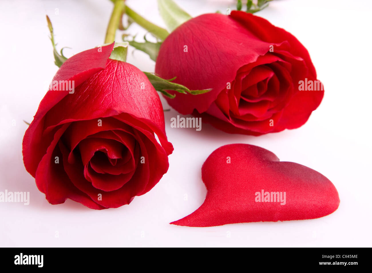 Two Red Roses Images