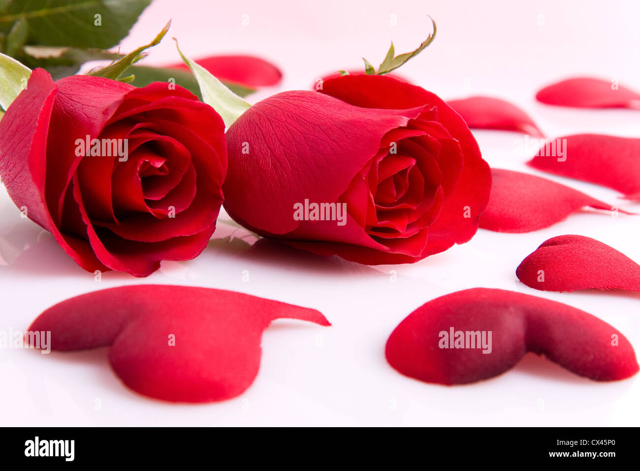 Two red rose with hearts isolated on white Stock Photo - Alamy