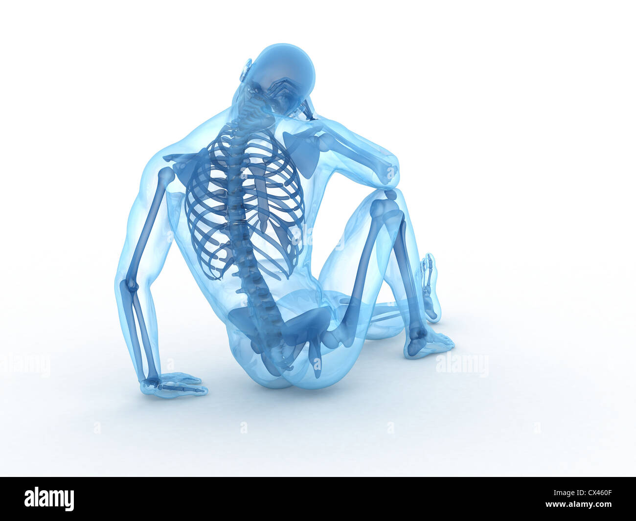 3d rendered illustration of a sitting male with visible bones Stock ...