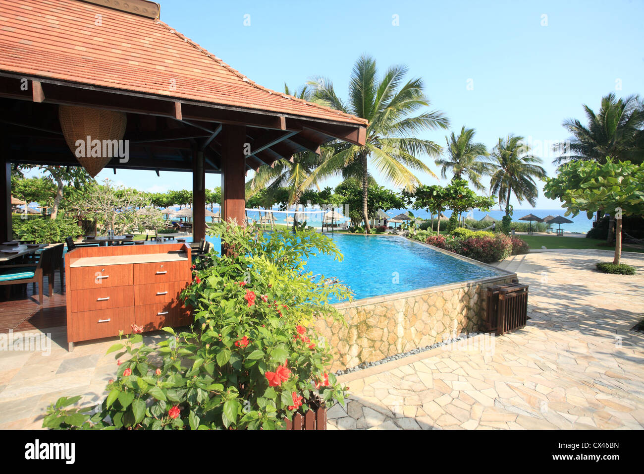 Palm tree swimming pool hi-res stock photography and images - Alamy