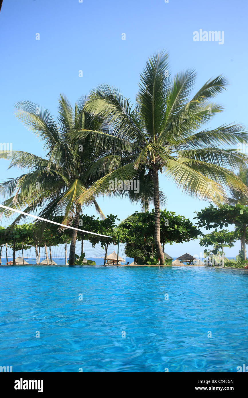 Pool palm trees house hi-res stock photography and images - Alamy