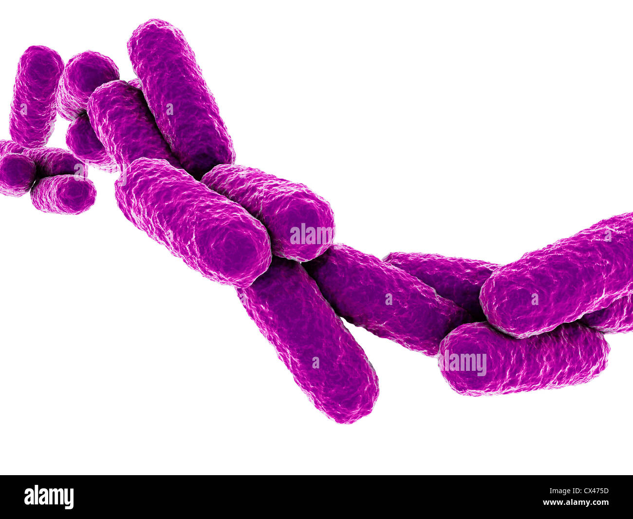 bacteria close up Stock Photo - Alamy
