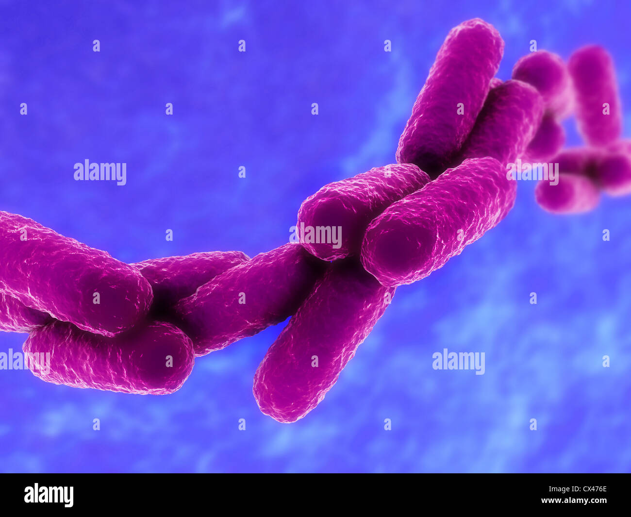 bacteria close up Stock Photo - Alamy