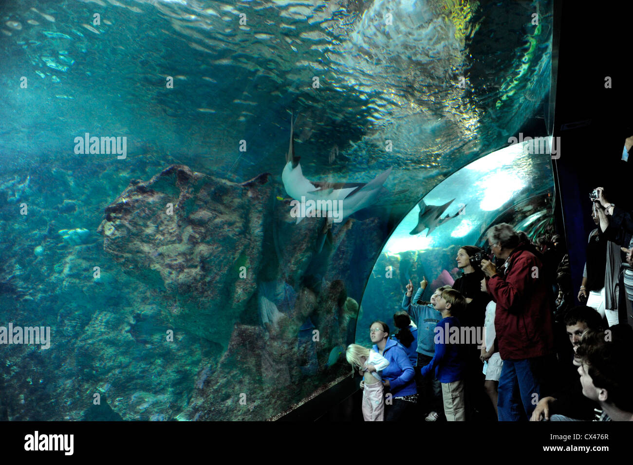 Oceanopolis aquarium hi-res stock photography and images - Alamy