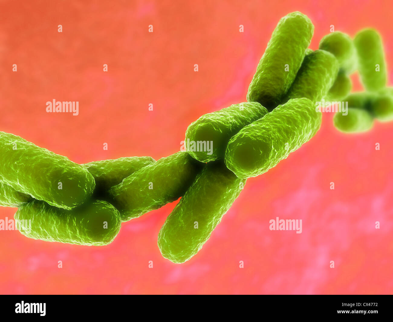 bacteria close up Stock Photo - Alamy